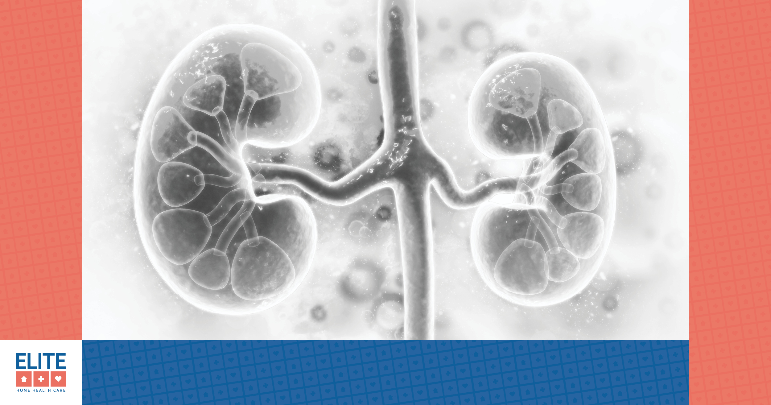 What You Need to Know About Kidney Disease and Senior Health